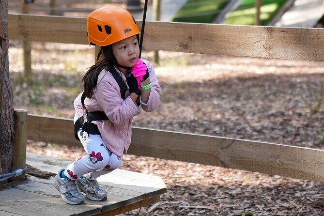 Your Little Ones Can Soar Through the Pines of Kuitpo Forest - Exploring the Kuitpo Forest Rope Course and Ziplining Experience