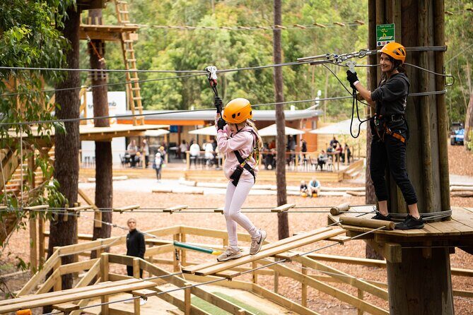 Your Little Ones Can Soar Through the Pines of Kuitpo Forest - The Sum Up