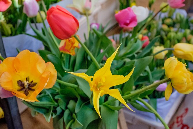 Your Own Amsterdam A Mini-Group Sightseeing Tour(Top-rated!) - Cancellation Policy