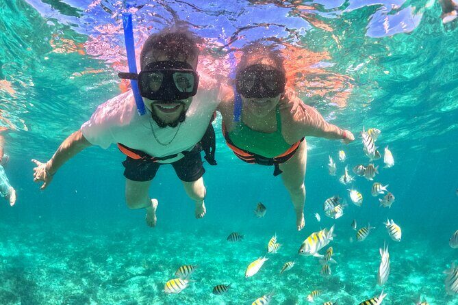 Your Own Private Yacht in Cabo  Snorkeling, Crew & Coastal Views - Setting the Scene: What’s Included and How It Works