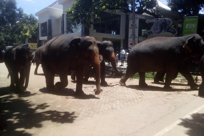 Your Private 06 nights and 07 Days tour - FAQ