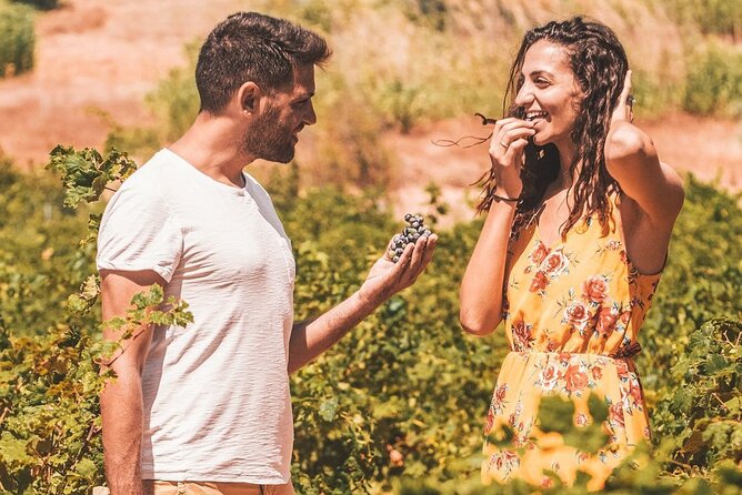 Your Private Driver & Chauffeur Service in Crete from Elounda - The Sum Up