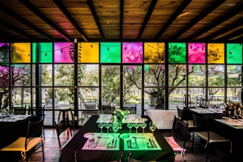 Your Wine Adventure at Luján de Cuyo - Final Thoughts