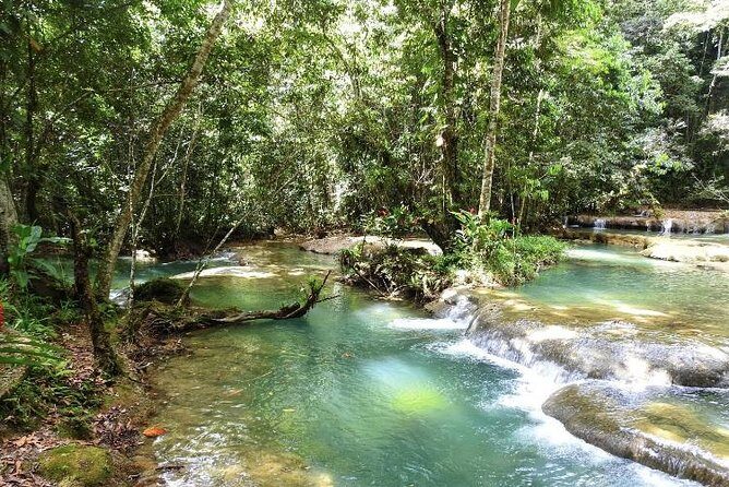 YS Falls and Appleton Estate Private Rum Tour - The Final Word: Who Should Book This Tour?