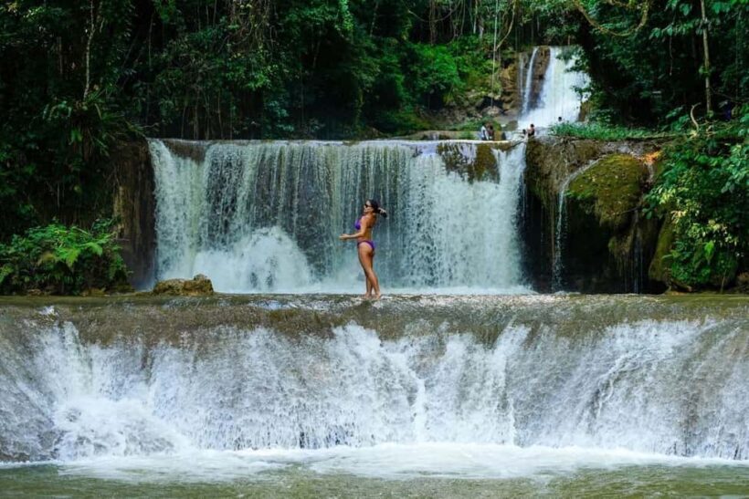 Ys Falls and Appleton Estate Private Tour - Discover the Charm of Jamaica with the Ys Falls and Appleton Estate Private Tour