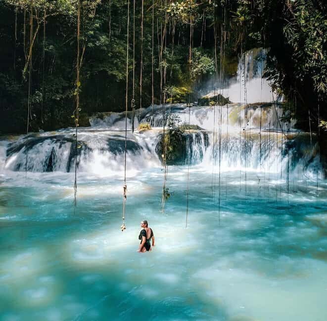 Ys Falls and Appleton Estate Private Tour - Key Points