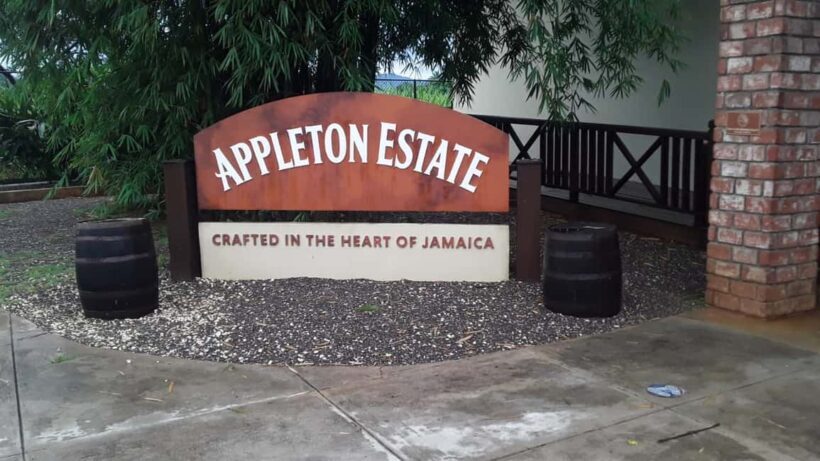 Ys Falls and Appleton Estate Private Tour - Who Will Love This Tour?