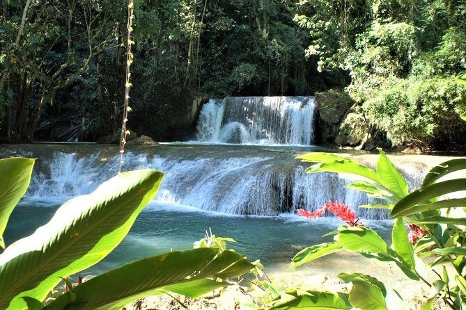 YS Falls and Black River Safari Guided Tour from Montego Bay and Grand Palladium - FAQ