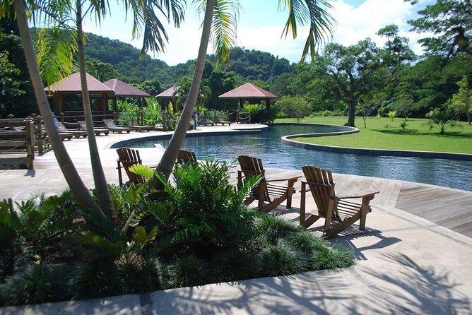 Ys Falls and Black River Safari Private Tour - The Black River: A Window into Local Life