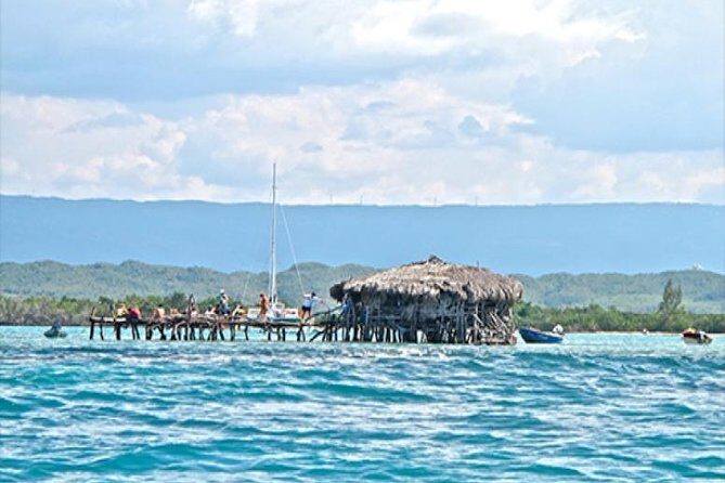 YS Falls and The Pelican Bar Adventure Tour from Negril - Analyzing the Value