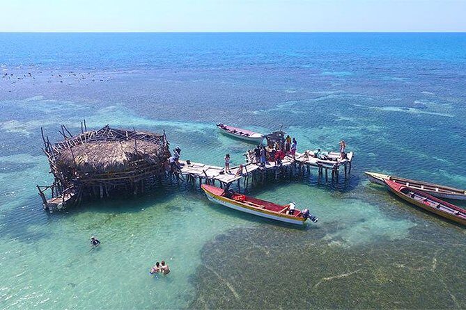 YS Falls and The Pelican Bar Adventure Tour from Negril - The Sum Up