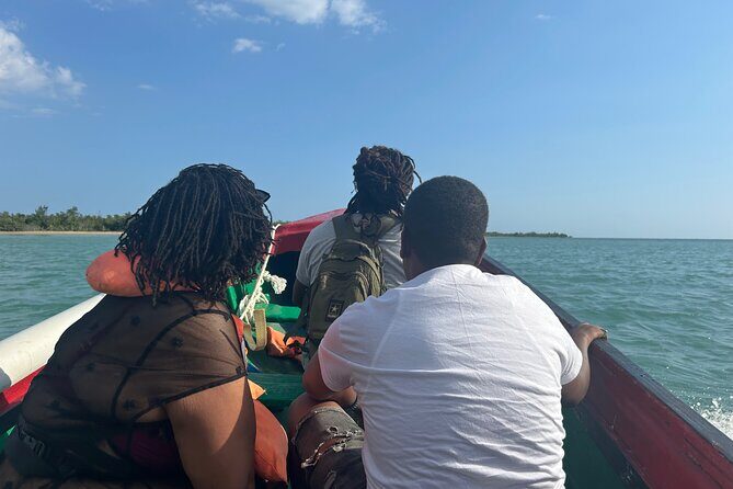 YS Falls and Zipline with Floyds Pelican Bar Full Day Tour - Who Will Love This Tour?