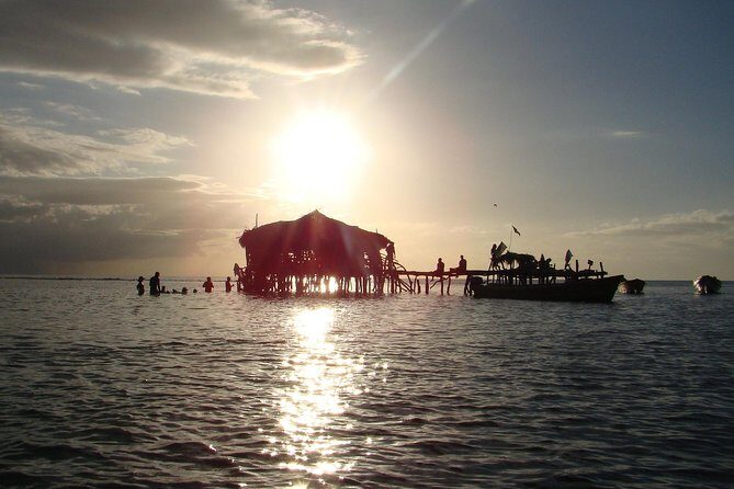 YS Falls, Black River Safari, and Floyd's Pelican Bar Day-Trip (Transportation) - A Detailed Look at the Tour Experience