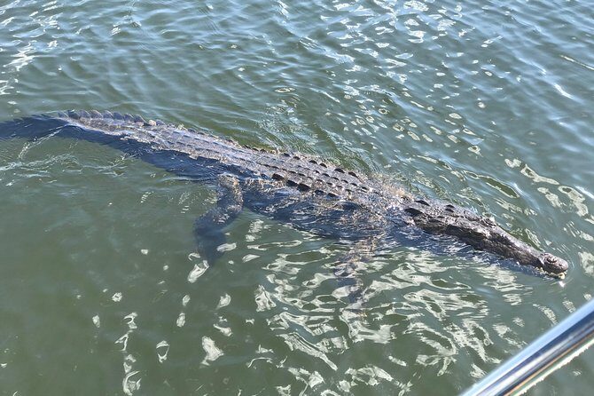 Ys Falls, Floyds Pelican Bar, Black River Safari - The Sum Up