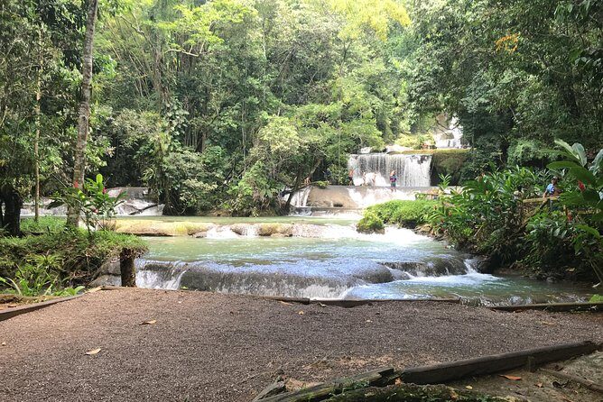 YS Falls Private Full-Day Adventure Tour with Pickup - The Experience for Different Travelers