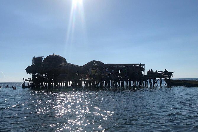 YS Falls Private Full-Day Adventure Tour with Pickup - The Sum Up: Who Should Consider This Tour?