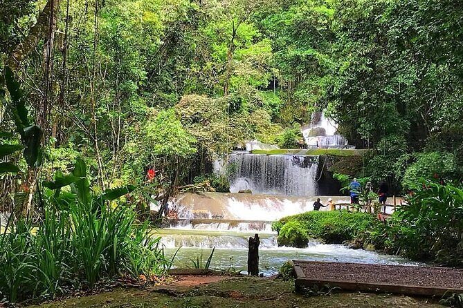 Ys Falls Private Tour - The Itinerary in Detail