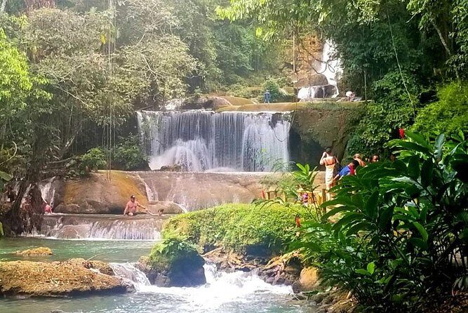 YS Falls Private Tour - An In-Depth Look at the YS Falls Private Tour