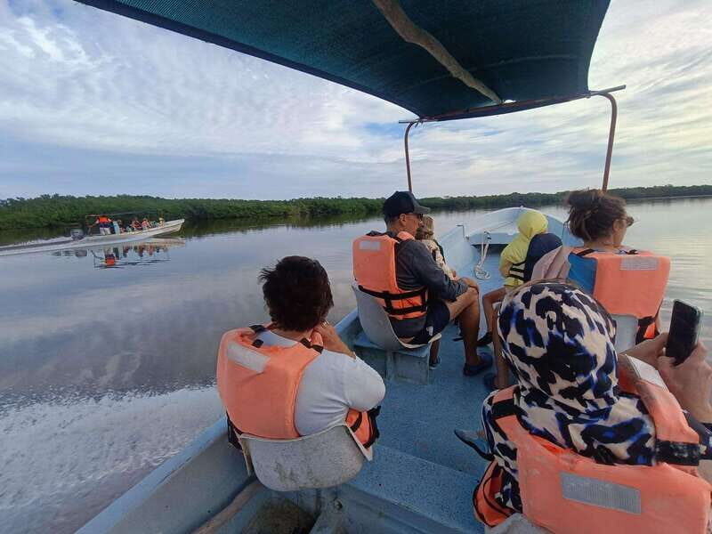 Yucatán: Río Lagartos Biosphere Reserve Boat Tour - Key Points