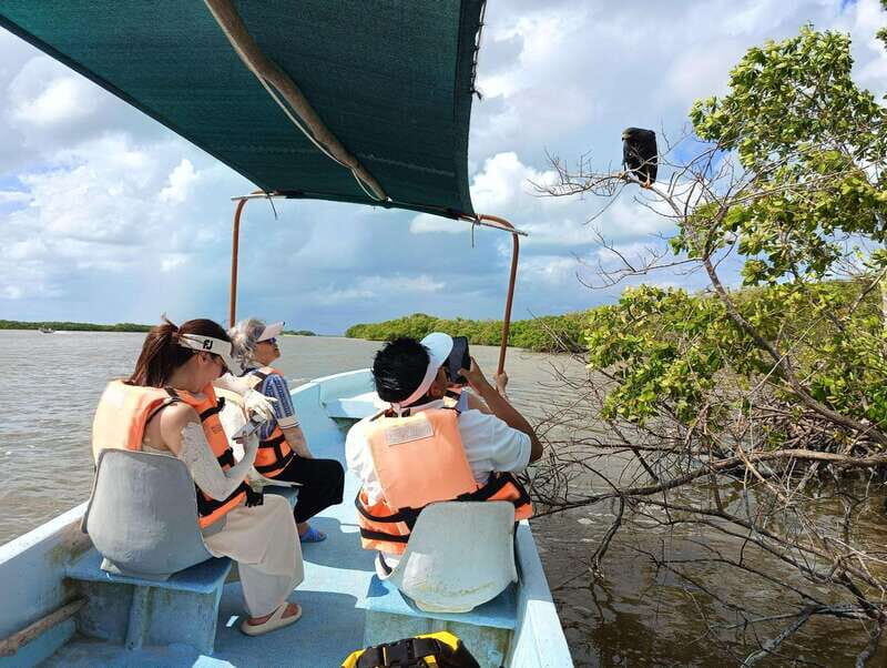 Yucatán: Río Lagartos Biosphere Reserve Boat Tour - The Experience in Detail: What You Can Expect