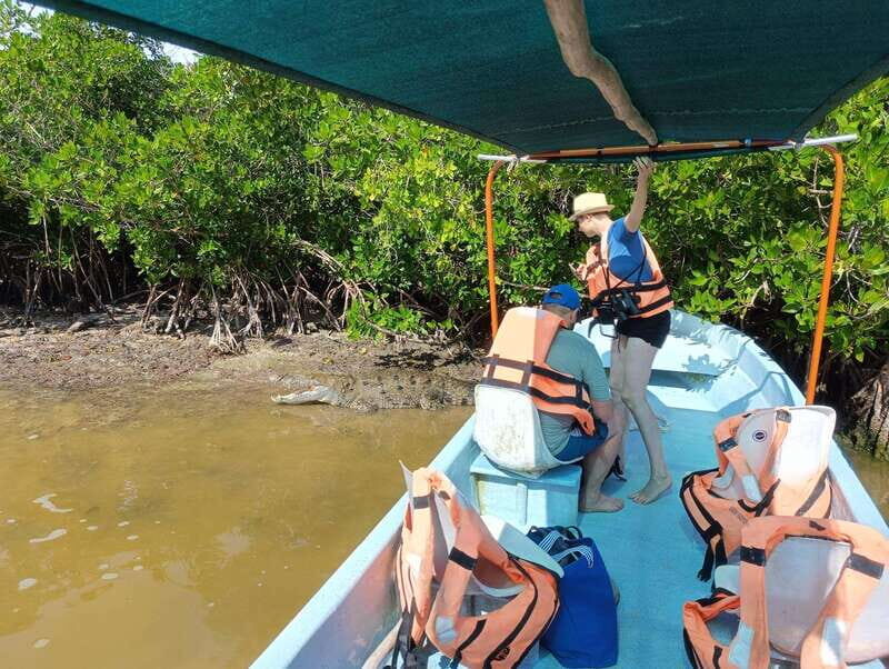 Yucatán: Río Lagartos Biosphere Reserve Boat Tour - Who Will Love This Tour?