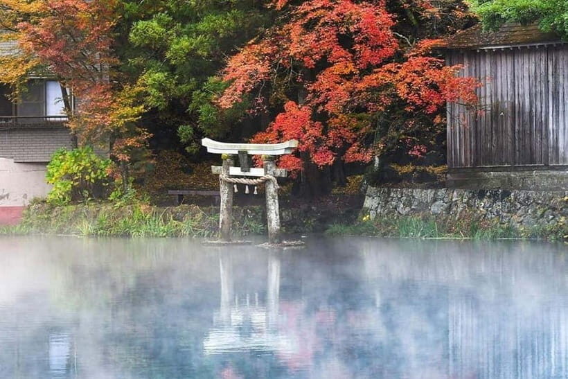 Yufuin: Onsen Wellness & Culinary Delights Guided Tour - An Introduction to the Tour: A Balanced Blend of Relaxation and Local Flavor