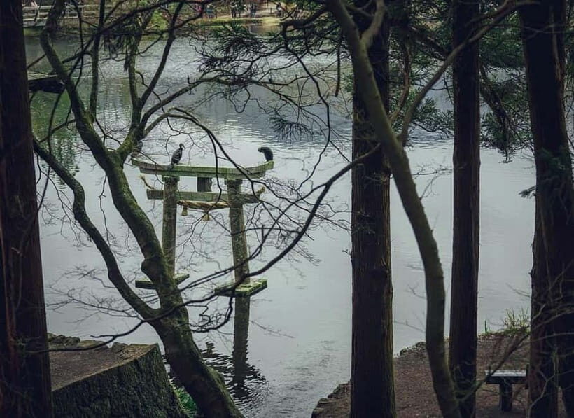 Yufuin: Onsen Wellness & Culinary Delights Guided Tour - The Onsen Experience: More Than Just a Bath