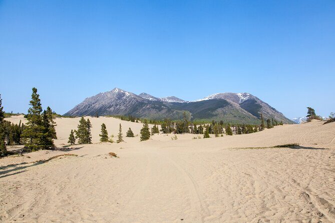 Yukon Escapade: Lakes, Wilderness, and Hidden Gems - An In-Depth Look at the Yukon Escapade