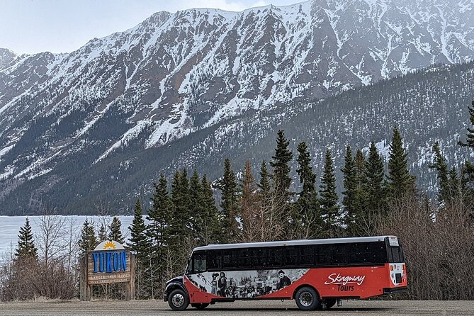 Yukon Husky Puppy Play Time & Summit Tour - Scenic Journey and Photo Opportunities