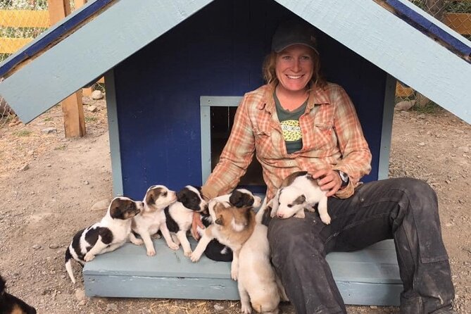 Yukon Husky Puppy Play Time & Summit Tour - Tour Operator Commitment to Improvement