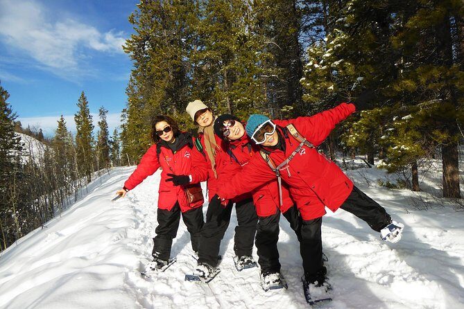 Yukon Snowshoeing Adventure | half day - Setting the Scene: What to Expect on the Tour