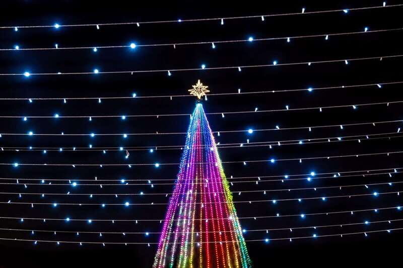 Yuletide in Mérida: A Private Tour Through Holiday Splendor - Who Will Love This Tour?