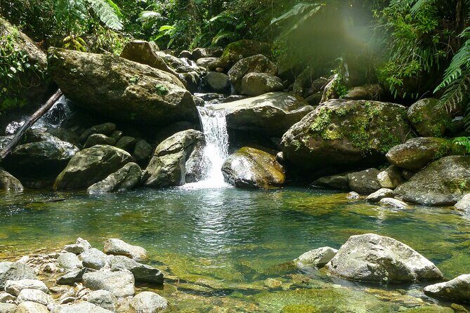 Yunque & Piñones Tour Hike Eat & Adventure with a Local; San Juan - Exploring Puerto Rico’s Wild Side: The Yunque & Piñones Tour