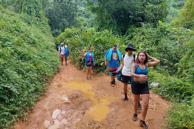 Yunque Rainforest Tour in Puerto Rico - Who Should Consider This Tour?
