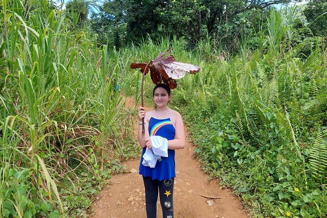 Yunque Rainforest Tour in Puerto Rico - FAQ