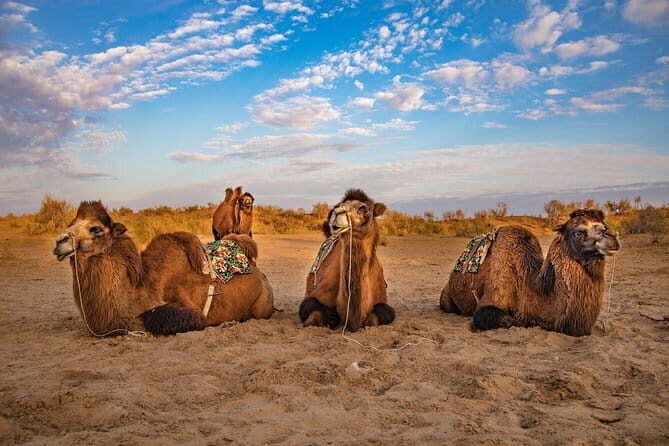 Yurt Camp - "One Day as Nomads" from Samarkand / Bukhara - Exploring the Itinerary in Detail