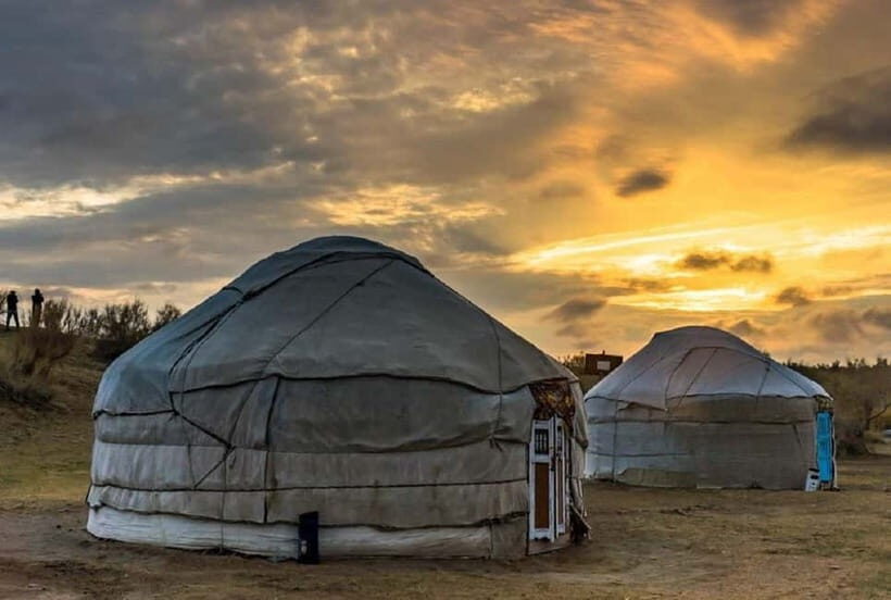 Yurt Camp Tour with Night from Bukhara - Final Thoughts