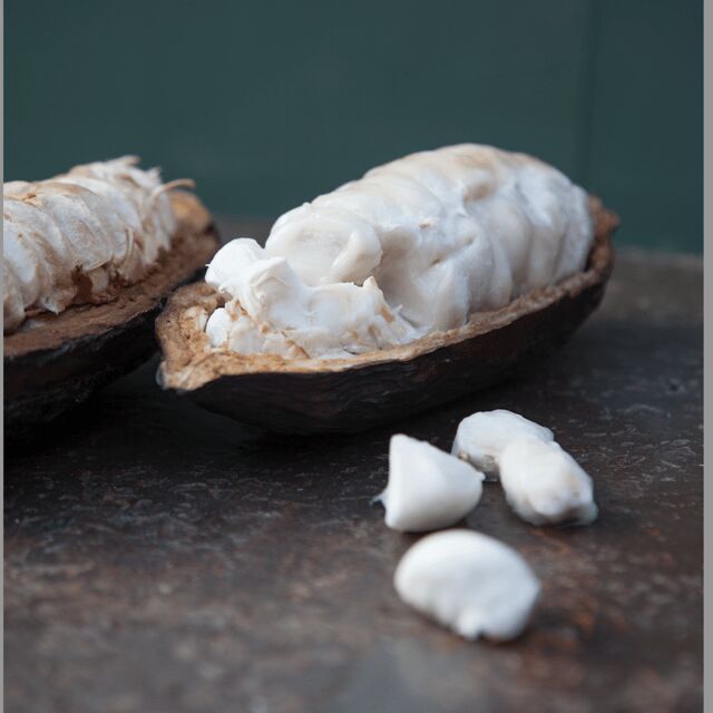Zaandijk: Chocolate making demonstration & tasting - Introduction