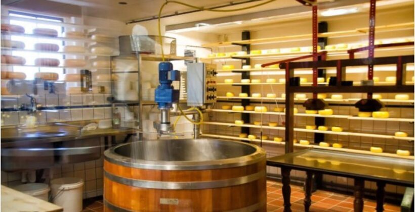 Zaanse Schans - Cheesefactory -Volendam, Private Tour. - Key Points