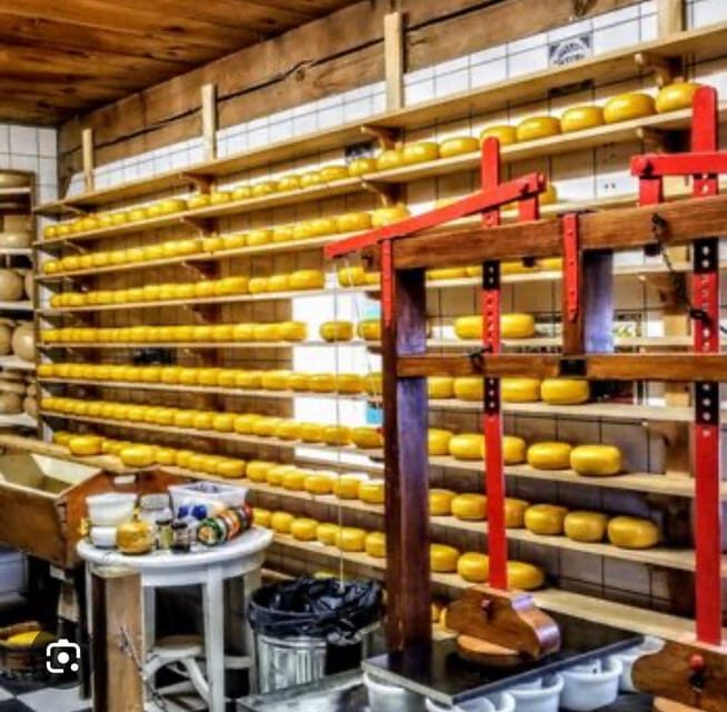 Zaanse Schans - Cheesefactory -Volendam, Private Tour. - Final Thoughts
