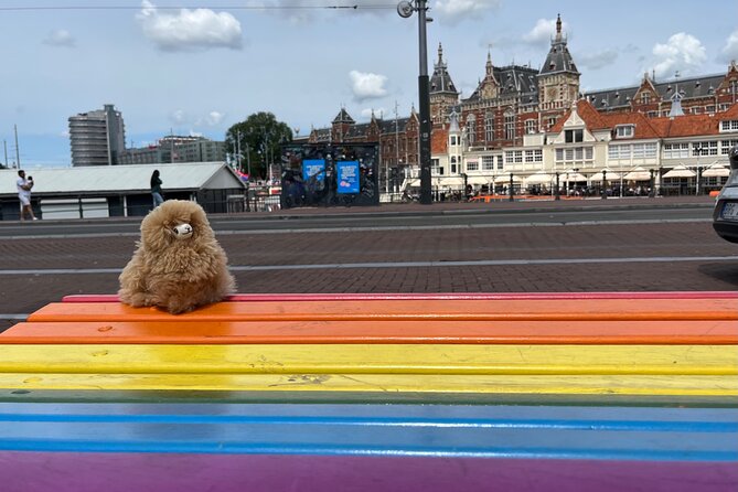 Zaanse Schans Edam Volendam Private Day Tour from Amsterdam - Key Points