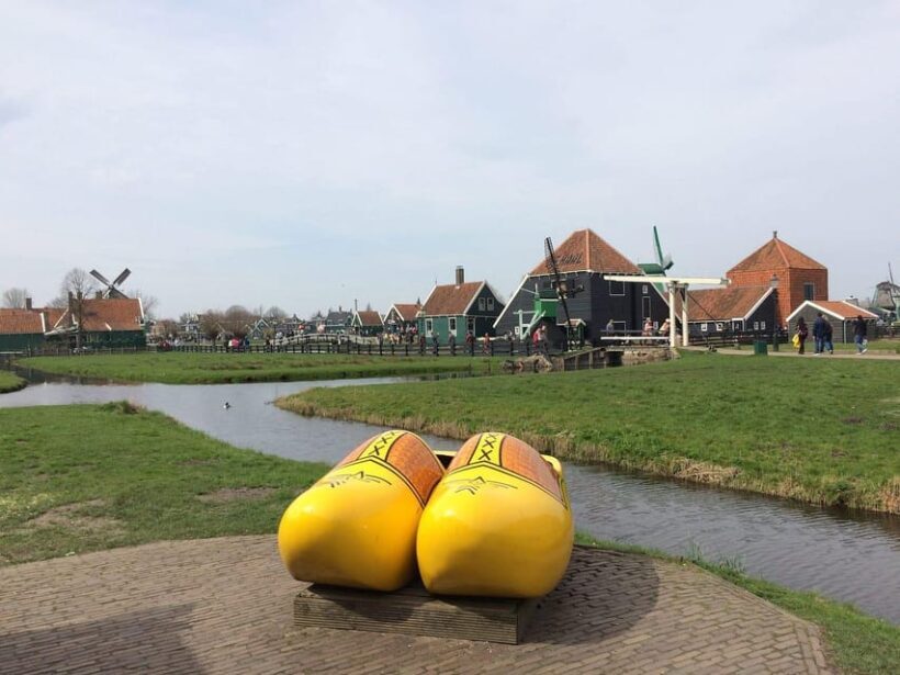 Zaanse Schans Windmills, Volendam and Tulip Greenhouse Tour - Key Points