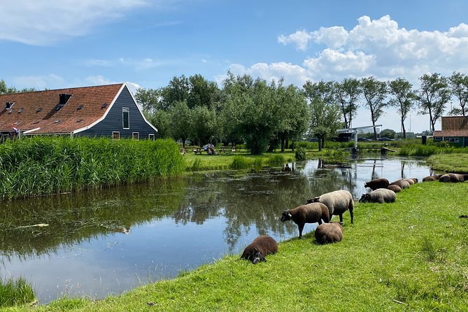 Zaanse Schans Windmills & Zaandam: Countryside Electric Bike Tour - The Itinerary in Detail