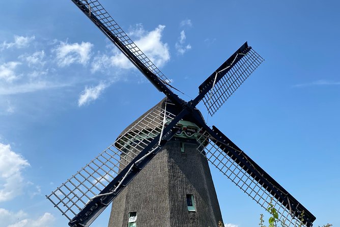 Zaanse Schans Windmills & Zaandam: Countryside Electric Bike Tour - The Sum Up