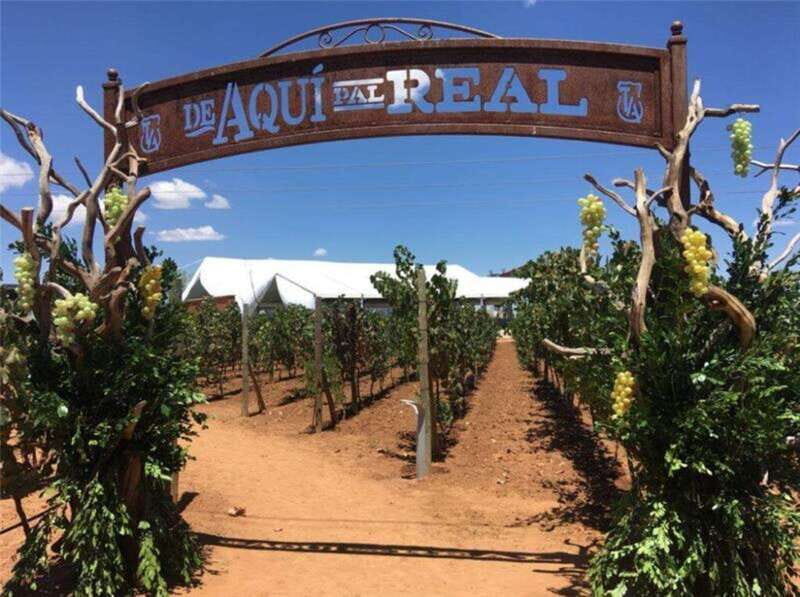 Zacatecas: Campo Real Vinícola Tour - Exploring Zacatecas’s Heritage and Wines in One Day