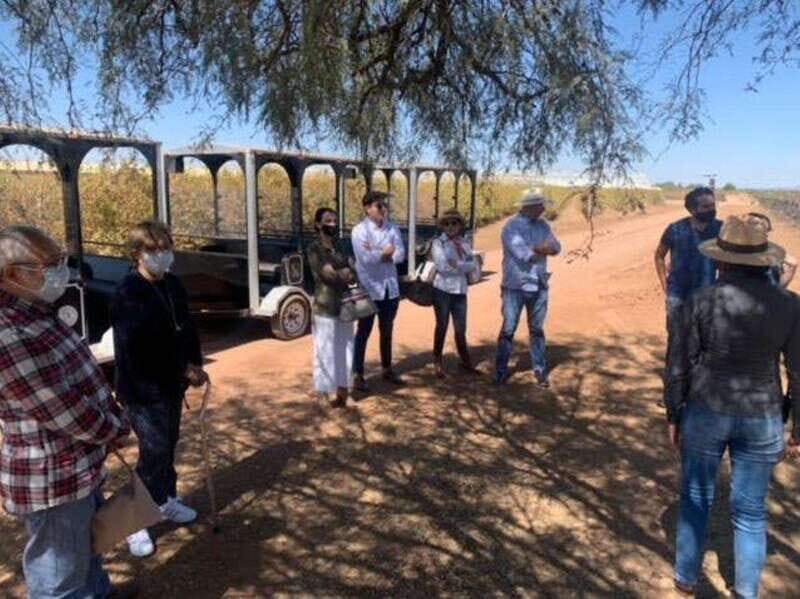 Zacatecas: Campo Real Vinícola Tour - FAQ