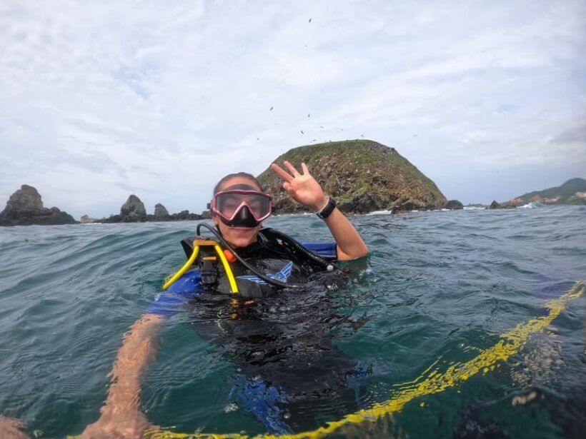 Zacatoso: Snorkeling Expedition - What to Expect in Terms of Marine Life