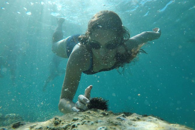 Zadar Archipelago 3 Islands Sea Kayaking Day Trip - The Sum Up: Who Should Sign Up?