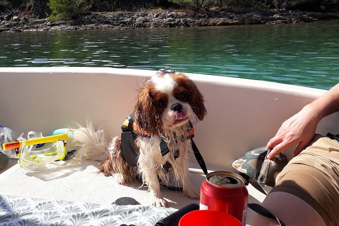 Zadar Boat Tour Half Day - Suitability and Recommendations