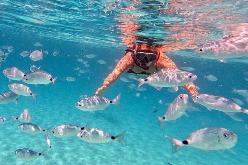 Zadar: Dugi Otok Island Discovery Day Trip with Snorkeling - Frequently Asked Questions